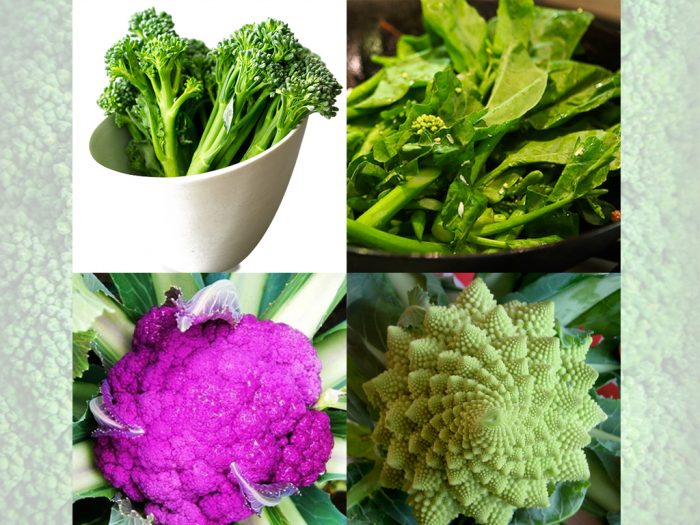 Types of broccoli - La Pandi